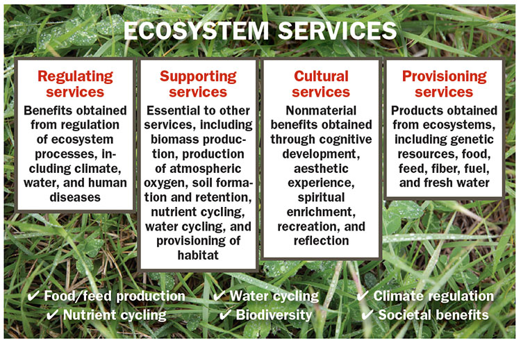 Soil and Grasslands serve each other – The Alliance for Grassland Renewal