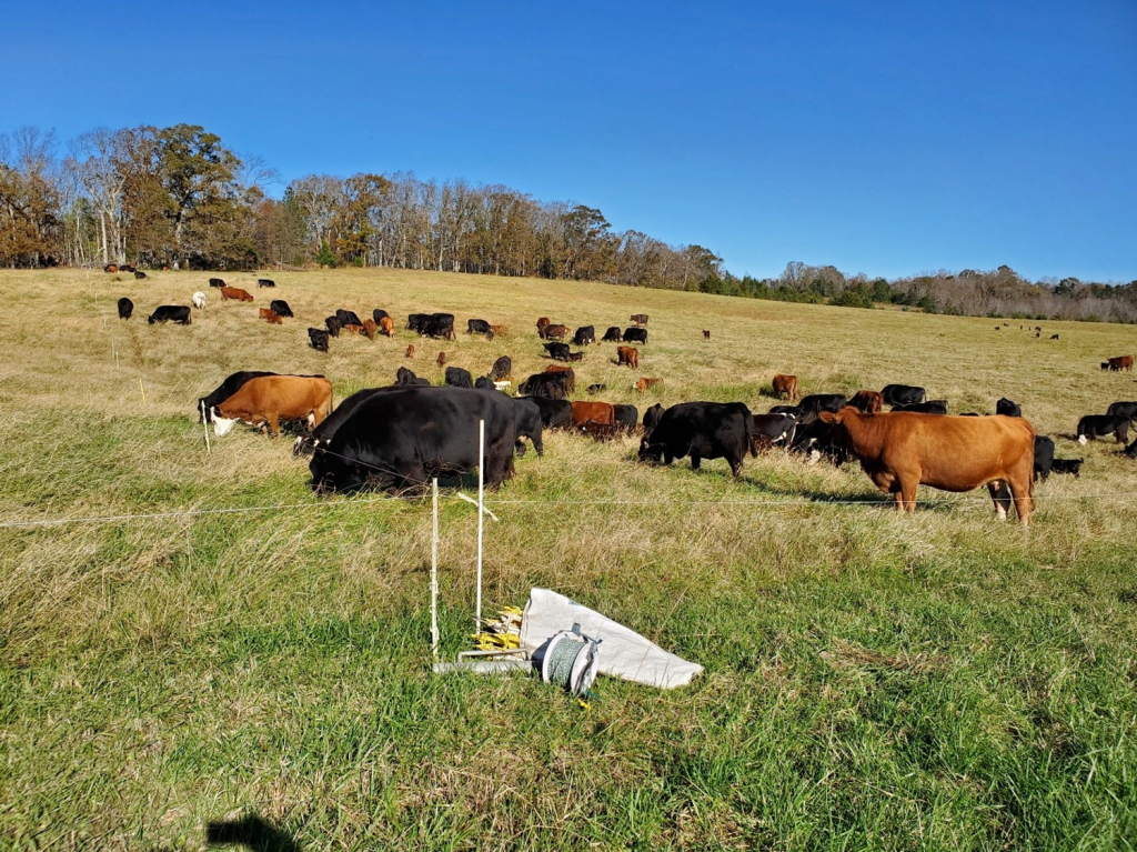 Triple Creek Journal: Managing late winter challenges – The Alliance ...