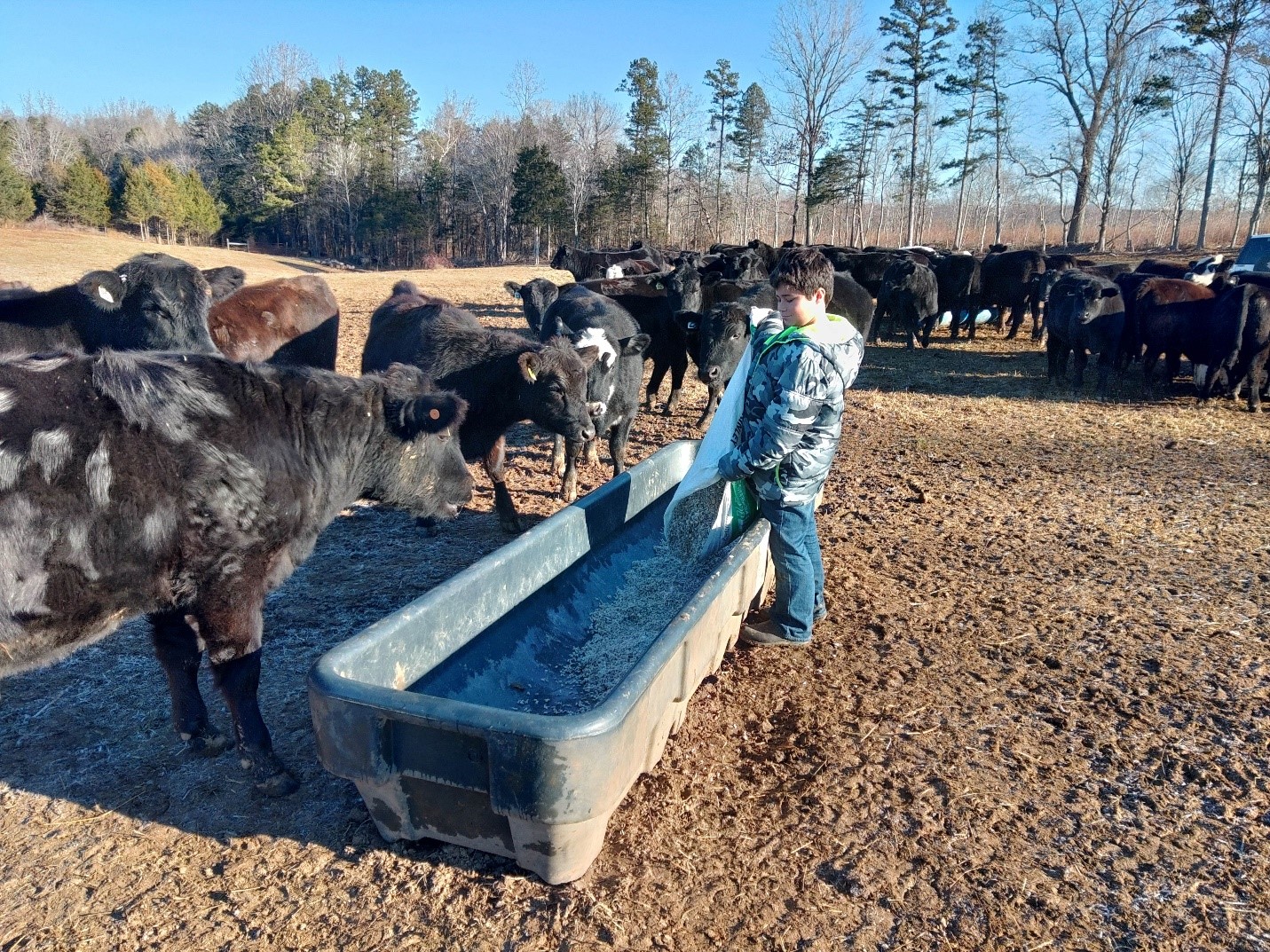Triple Creek Journal: 300 Days Grazing – The Alliance for Grassland Renewal