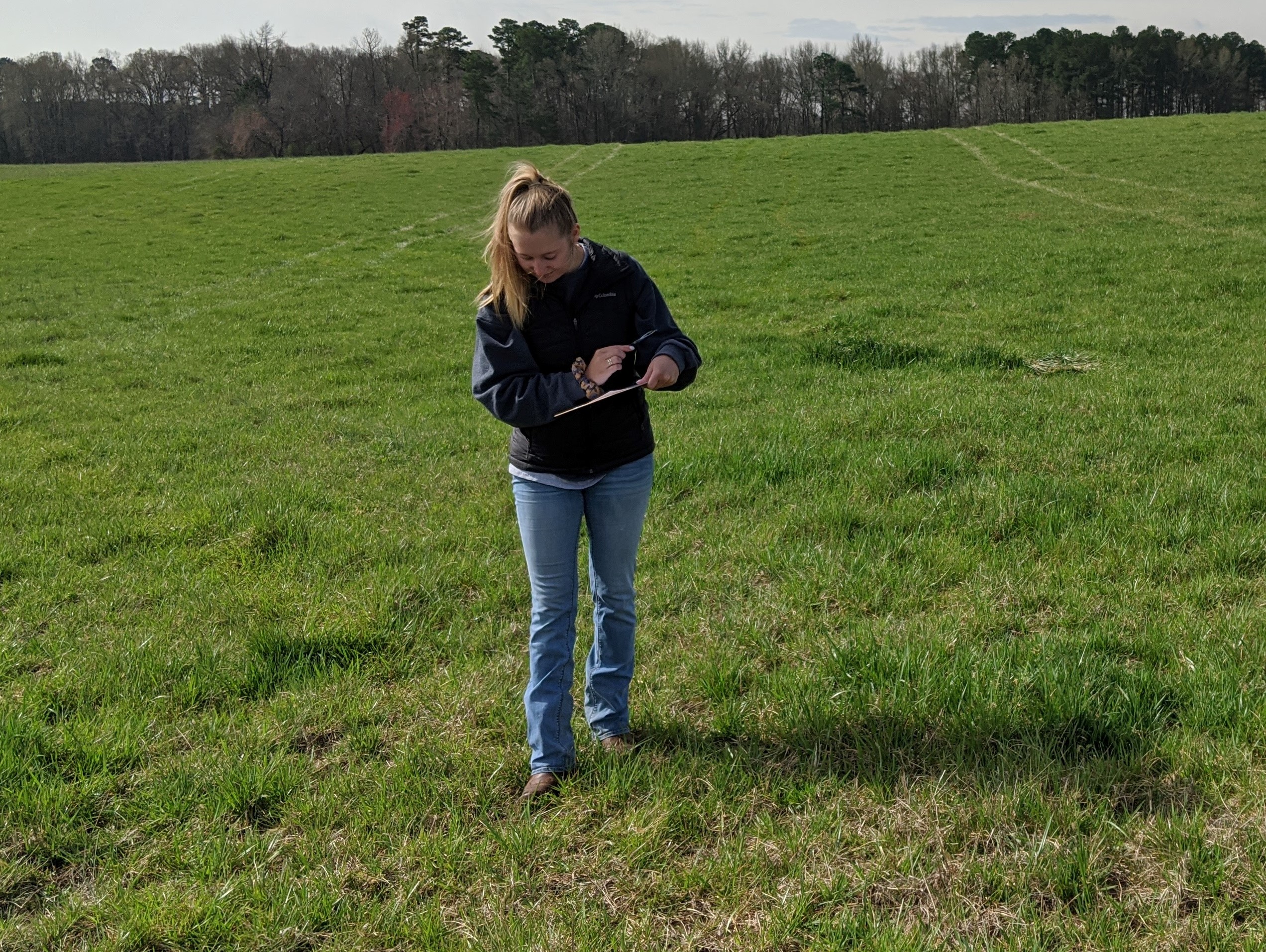 Assess your pastures to guide renovation – The Alliance for Grassland ...