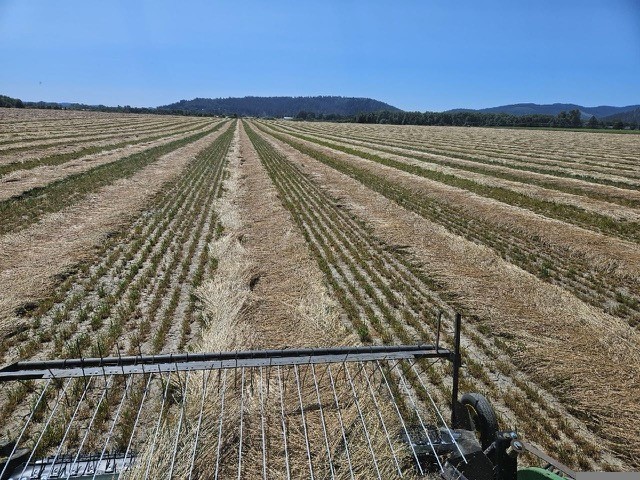 The Estancia Journey: From Production Field to Kentucky Horse Pasture ...