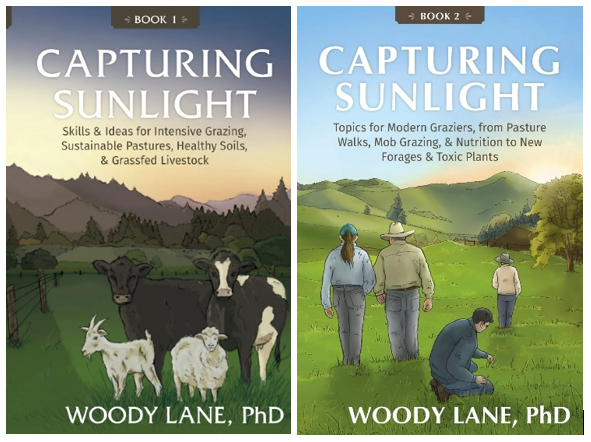 Book Review: Capturing Sunlight, Book 1 and 2 – The Alliance for ...